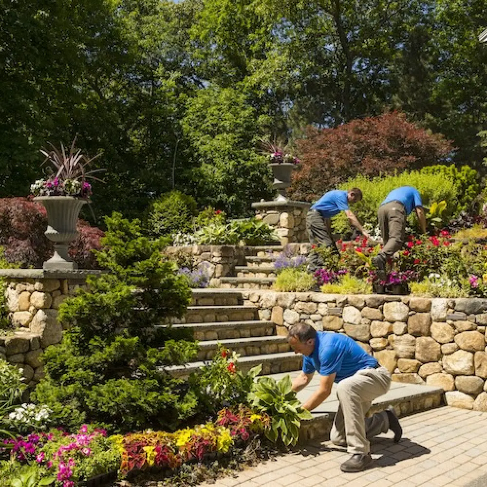 Ask the Experts: How to Find the Best Full Service Landscaping Near Me ...