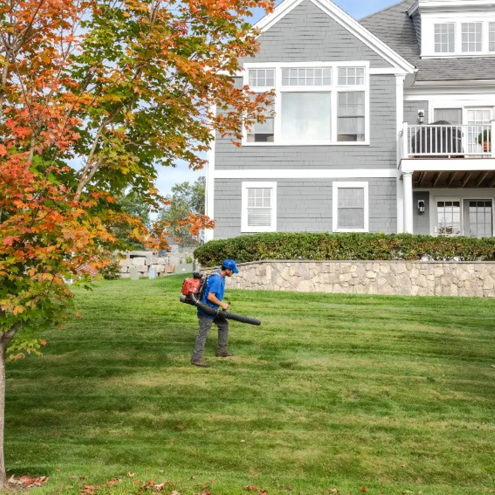 Massachusetts Fall Cleanup Services Offer Your Property a Fresh Start ...