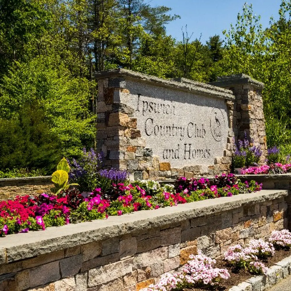 Planting Bulbs for Seasonal Color in Massachusetts: A Burst of Spring ...